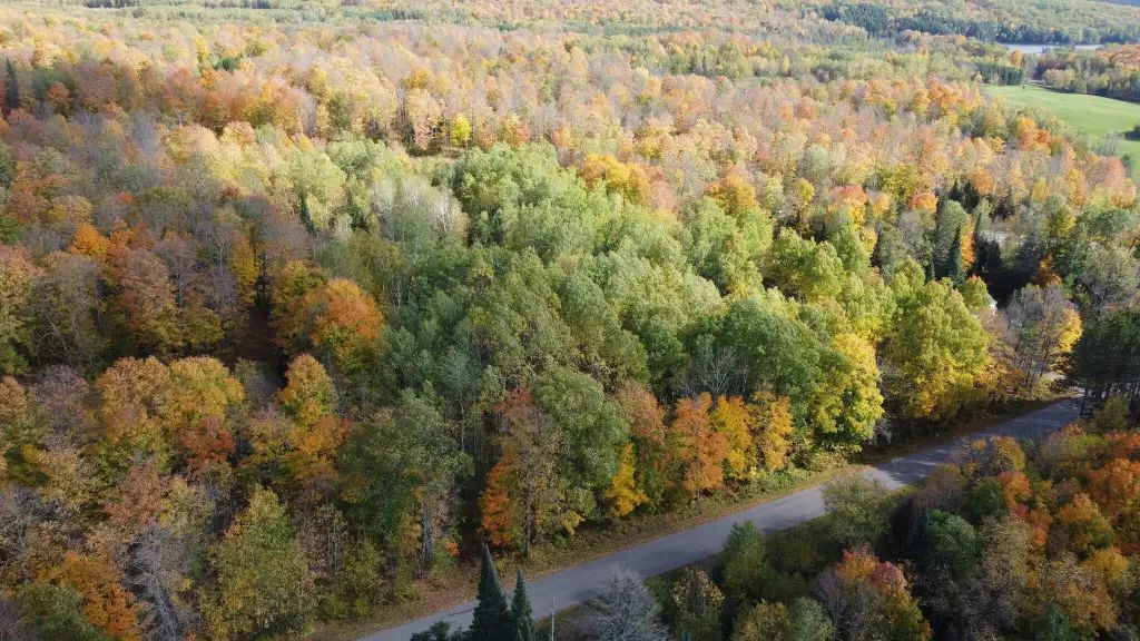 Fence, Florence County, WI Recreational Property, Undeveloped Land for ...