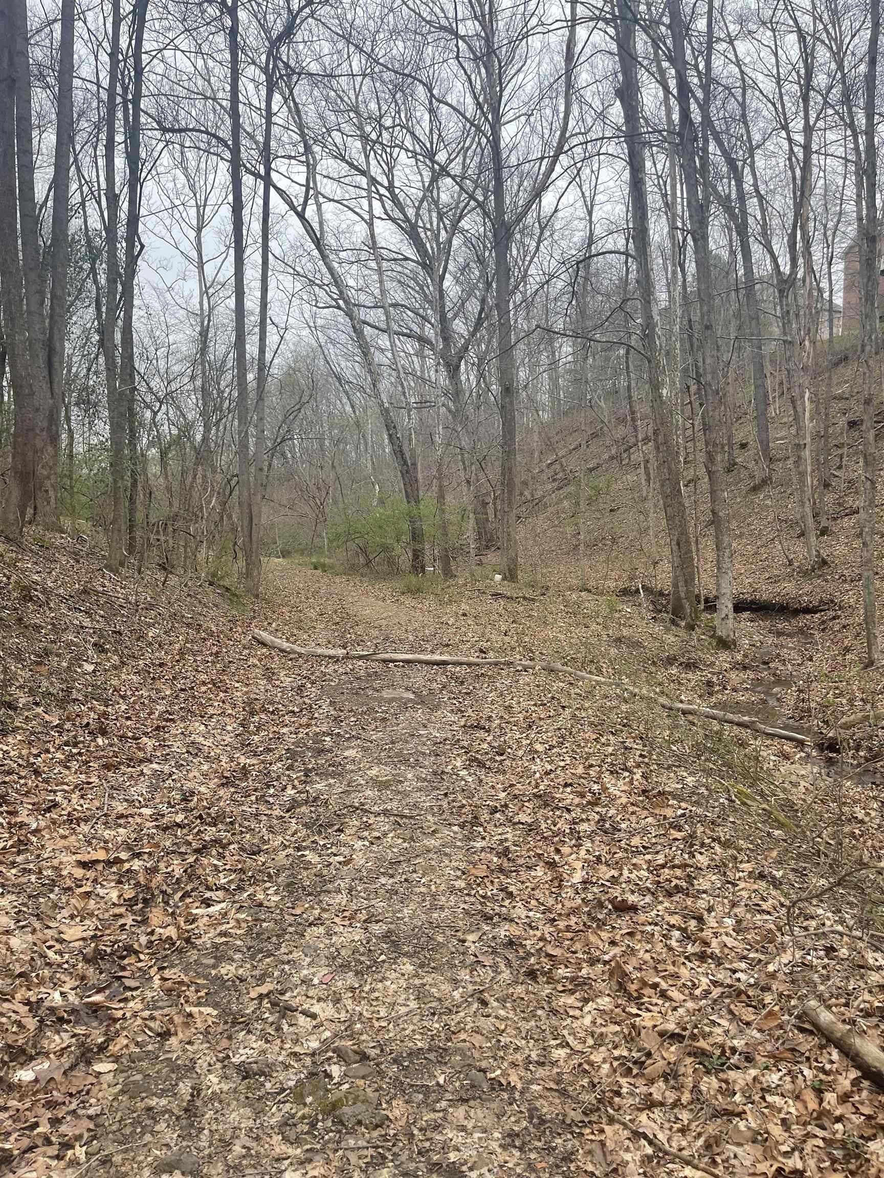 4891 Spring Road, Huntington, WV 25705 | MLS: 177372 | LandWatch