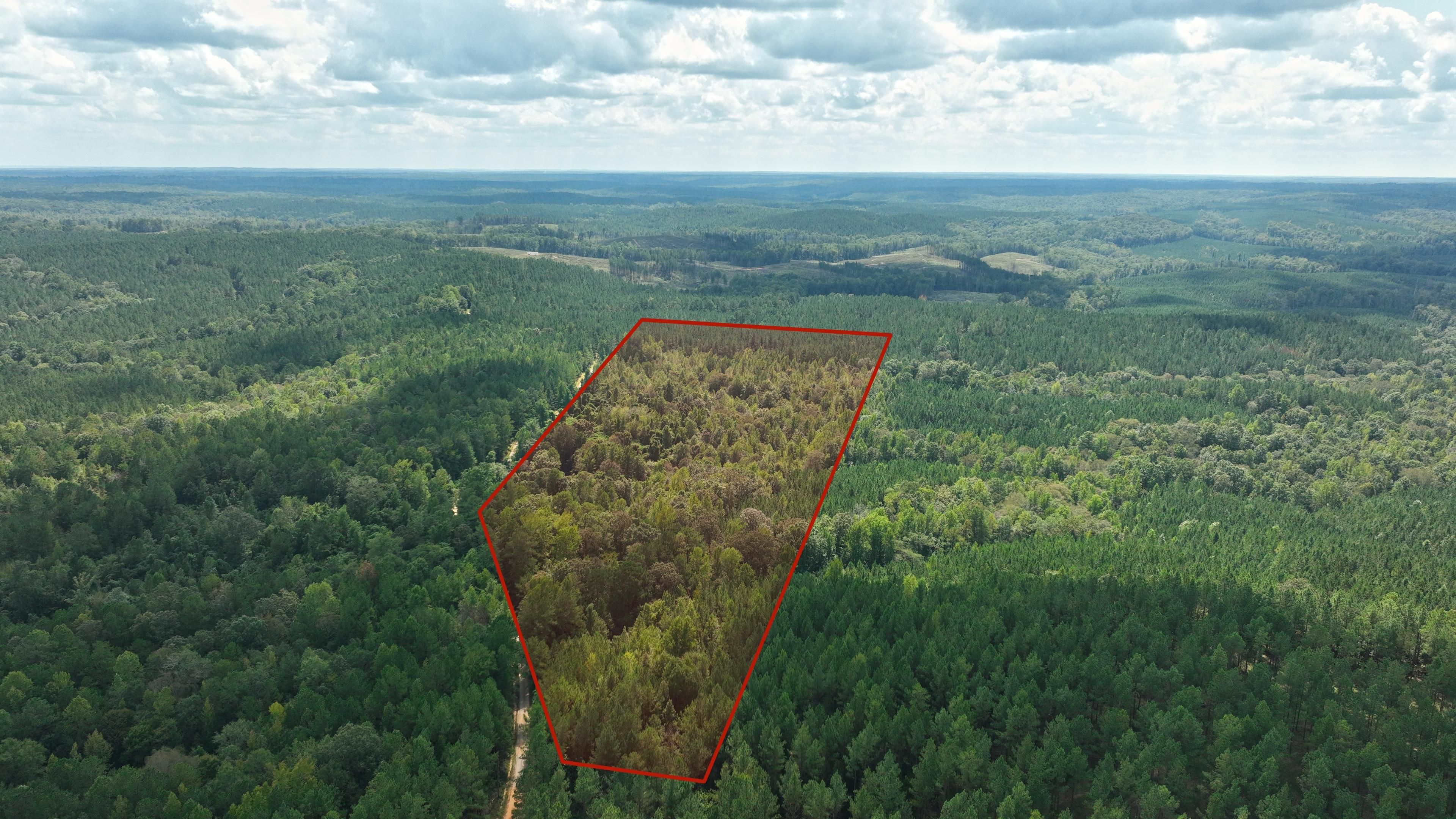16 acres in Kellyton, AL, 35089 | LandWatch