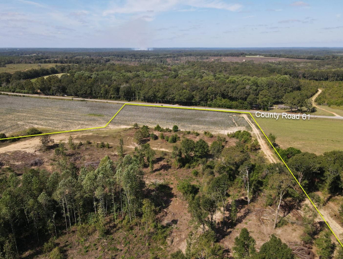 County Road 61, Echo, AL 36350 | LandWatch