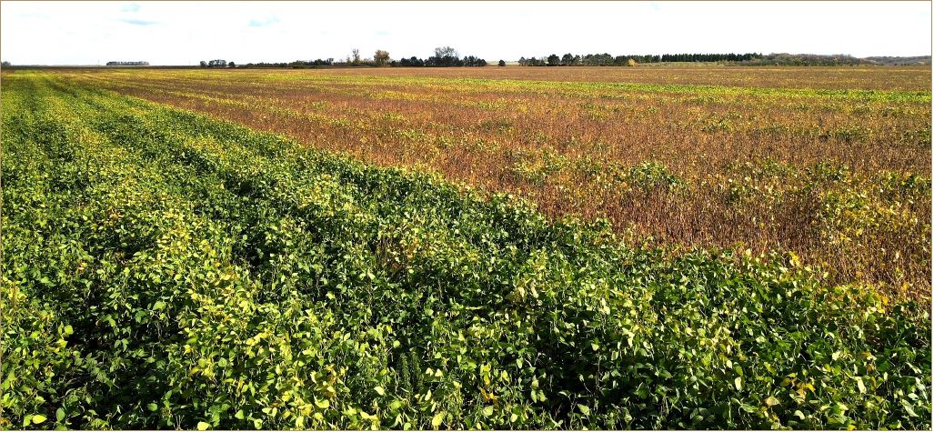 80 acres in Milton, ND, 58260 | MLS: RE409 | LandWatch