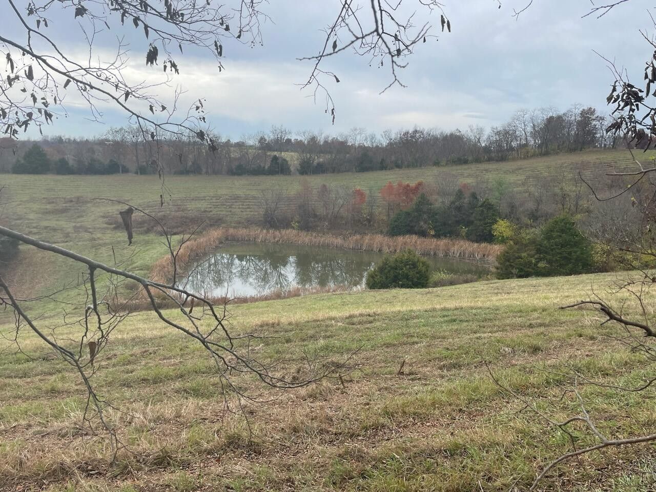 Corinth, Grant County, KY Farms and Ranches for sale Property ID ...