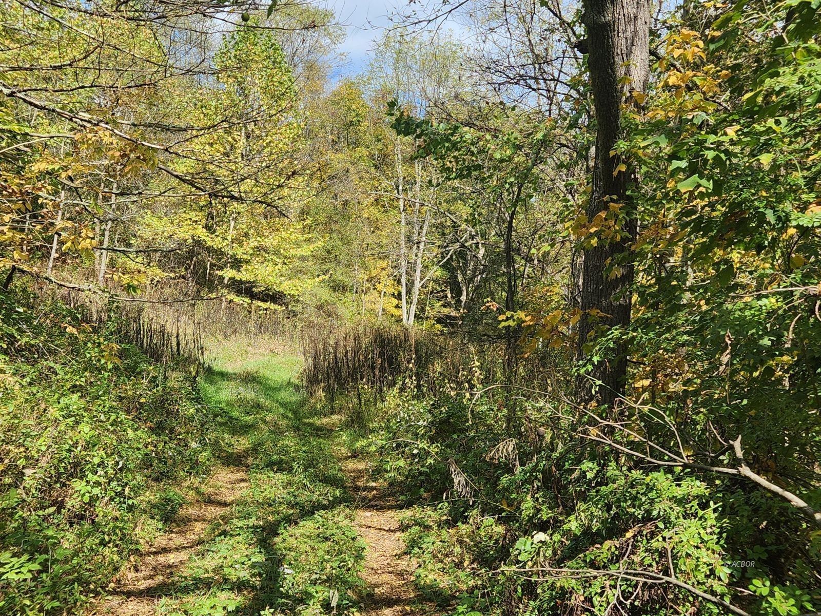 Corning, Perry County, OH Undeveloped Land for sale Property ID ...