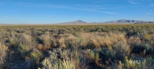 Ravendale, Lassen County, CA Undeveloped Land for sale Property ID ...