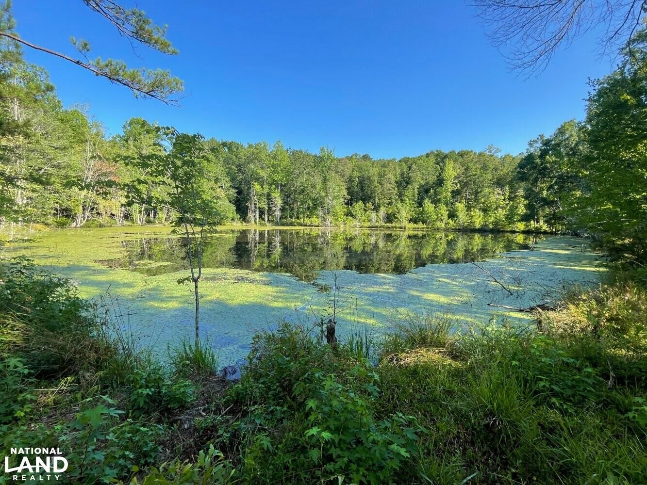 Sylvan Loop Road, Fosters, AL 35463 | LandWatch