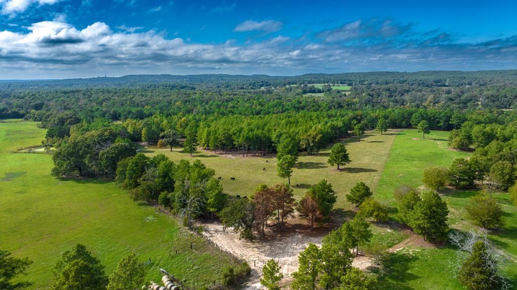 Chandler, Henderson County, TX Undeveloped Land for sale Property ID ...