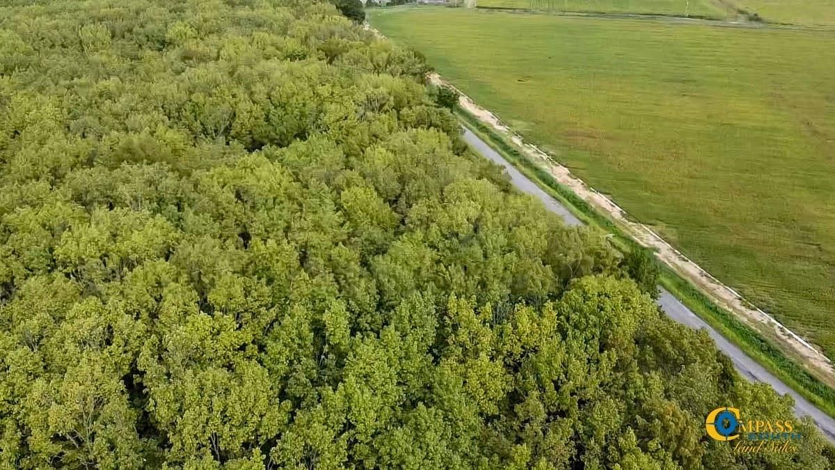 Dermott, Chicot County, AR Recreational Property, Timberland Property ...