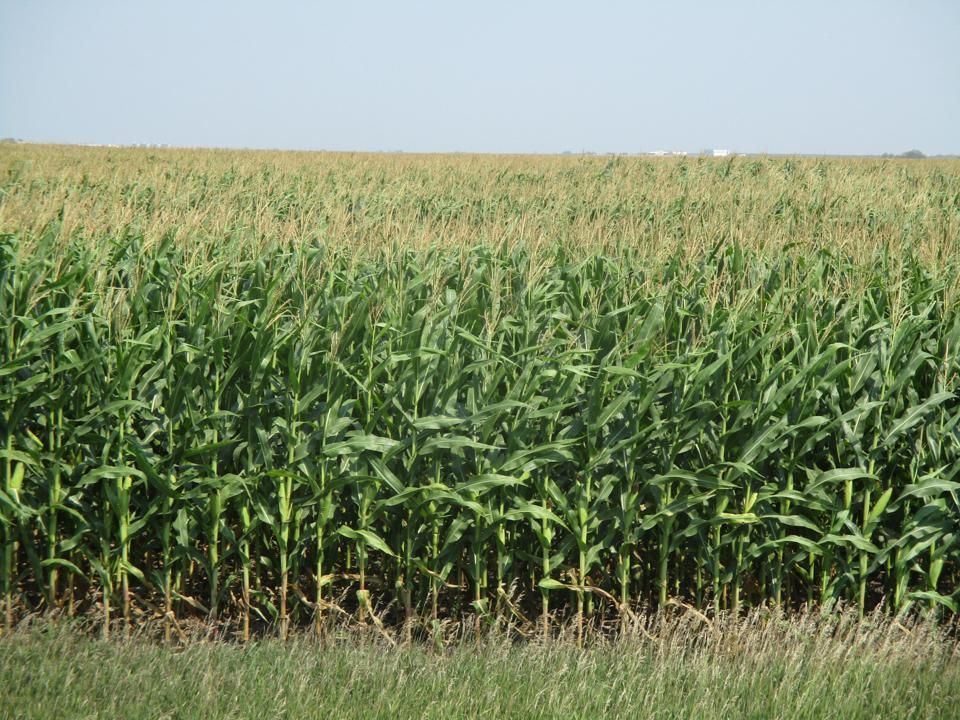 1,270.27 acres in Akaska, SD, 57472 | LandWatch