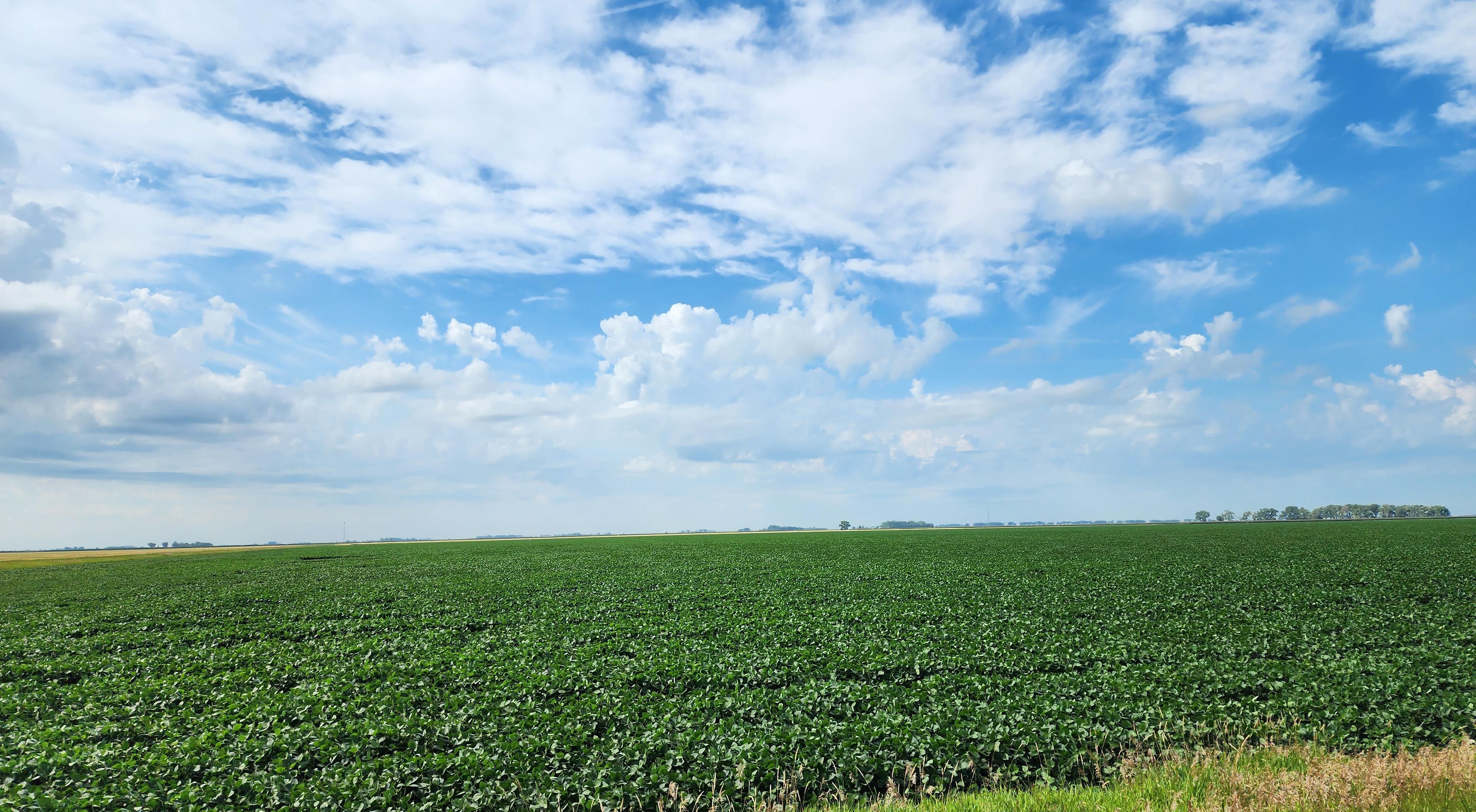 160 acres in Felton, MN, 56536 | LandWatch