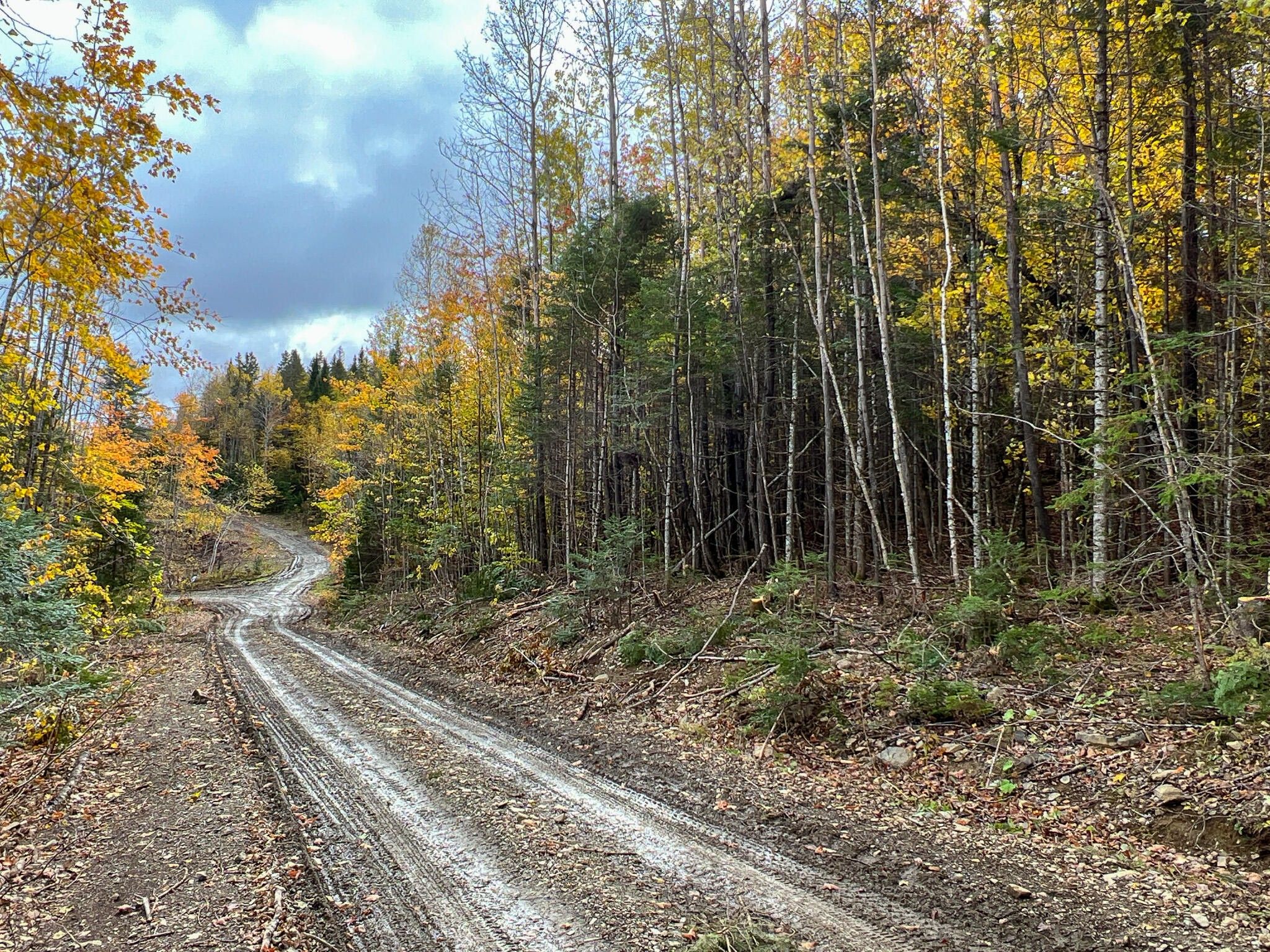 Oakfield, Aroostook County, ME Undeveloped Land for sale Property ID ...