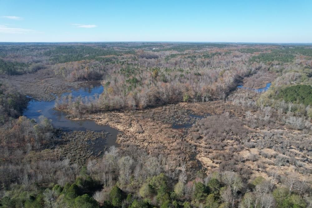 Ruffs Road, Carlton, GA 30627 | LandWatch