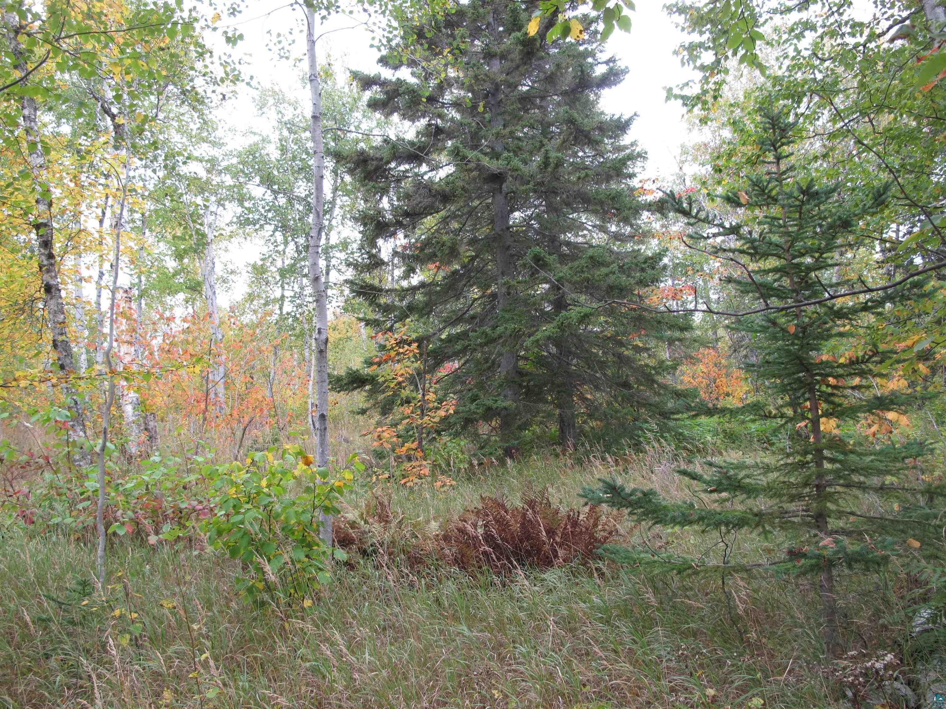 Schroeder, Cook County, MN for sale Property ID: 418015038 | LandWatch