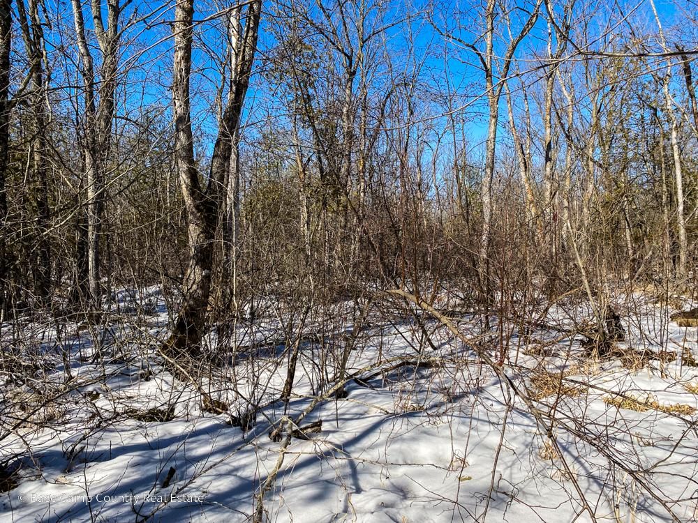 Klika Road, Shiocton, WI 54170 | LandWatch