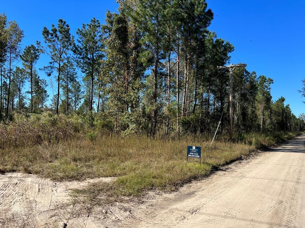 Santee, Orangeburg County, SC Undeveloped Land for sale Property ID ...