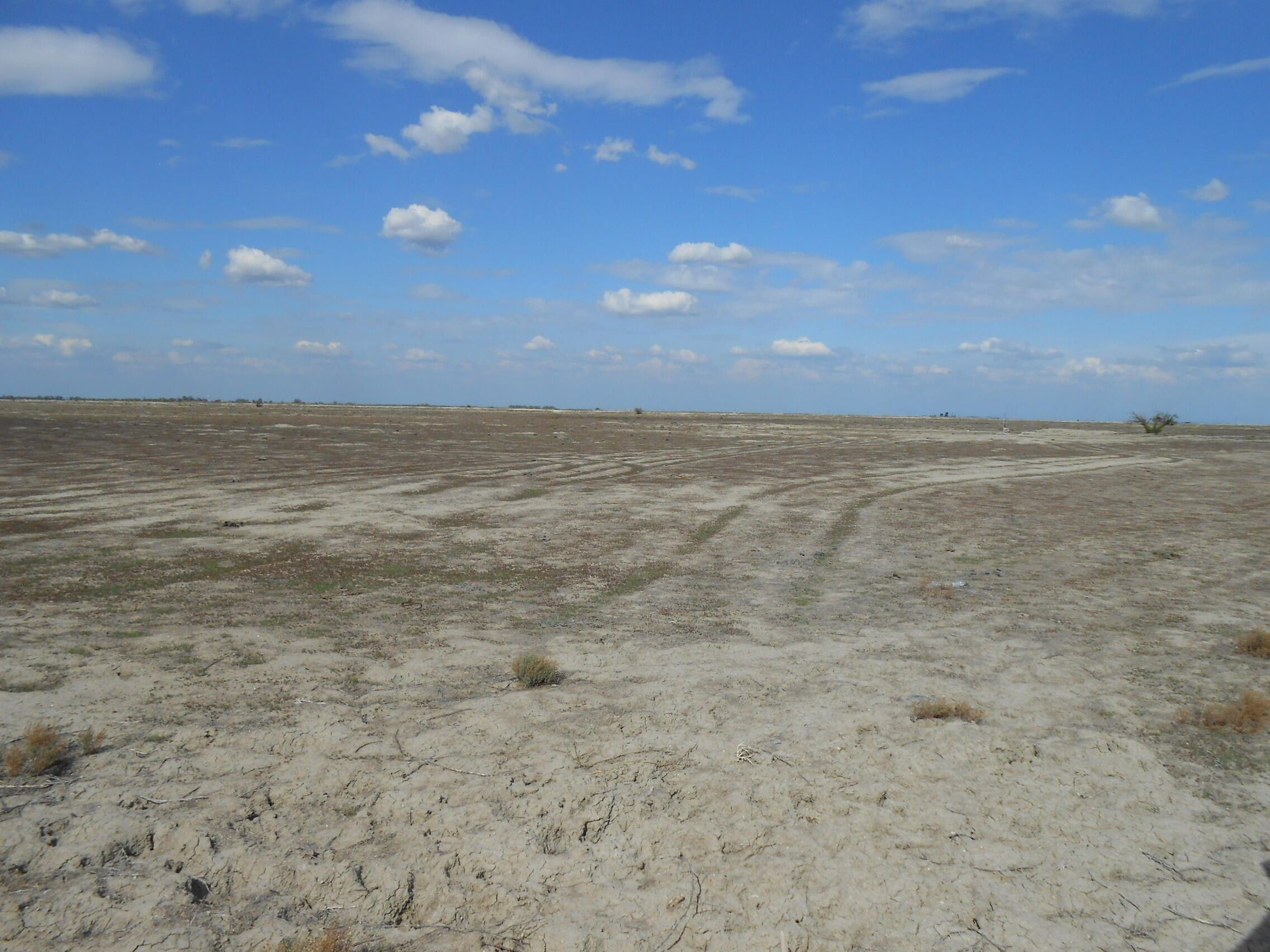 Alpaugh, Tulare County, CA Undeveloped Land for sale Property ID ...