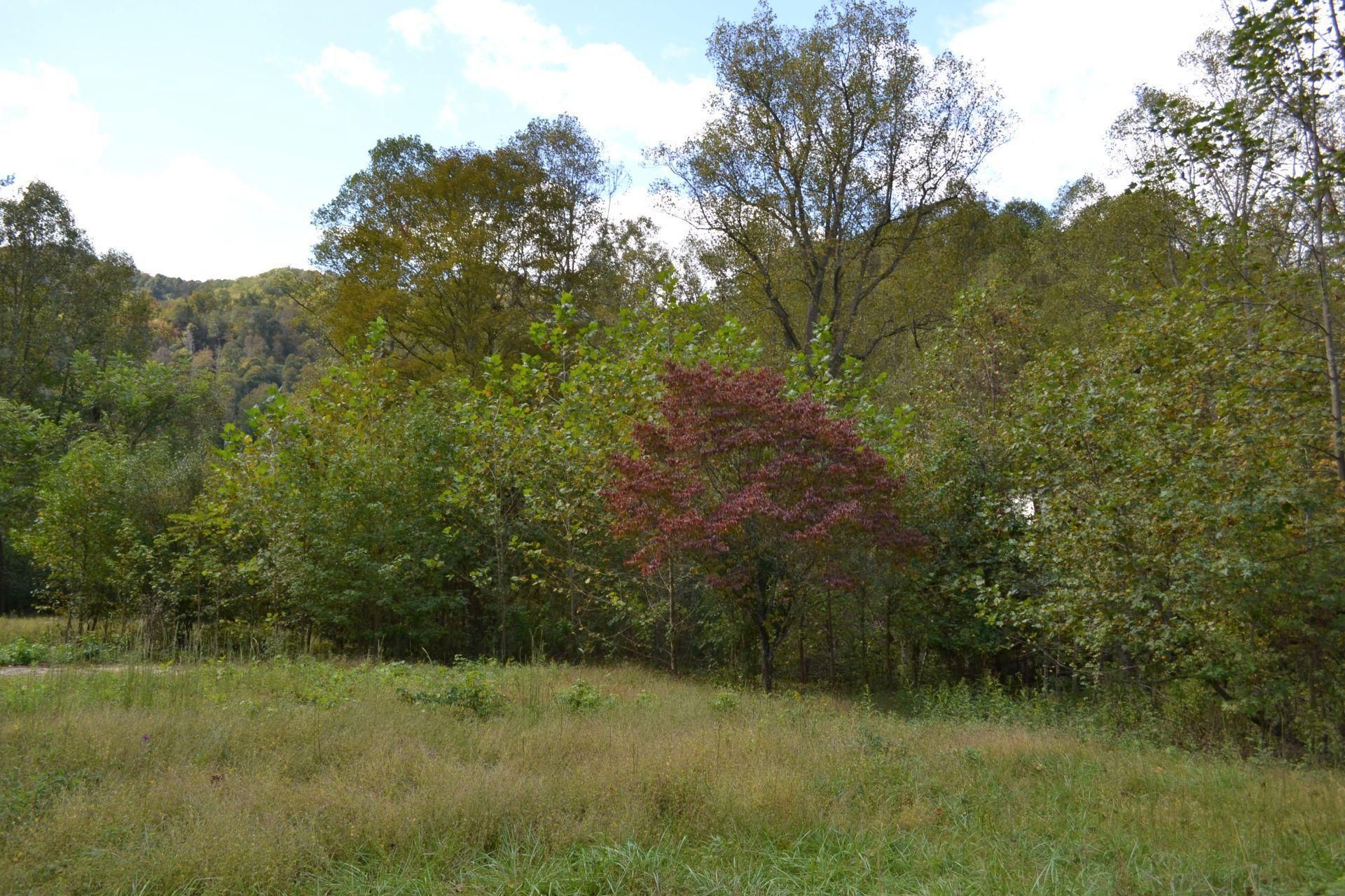 146 Rockcamp Road, Belva, WV 26656 | MLS: THE HOLLAND HOMEPLACE | LandWatch