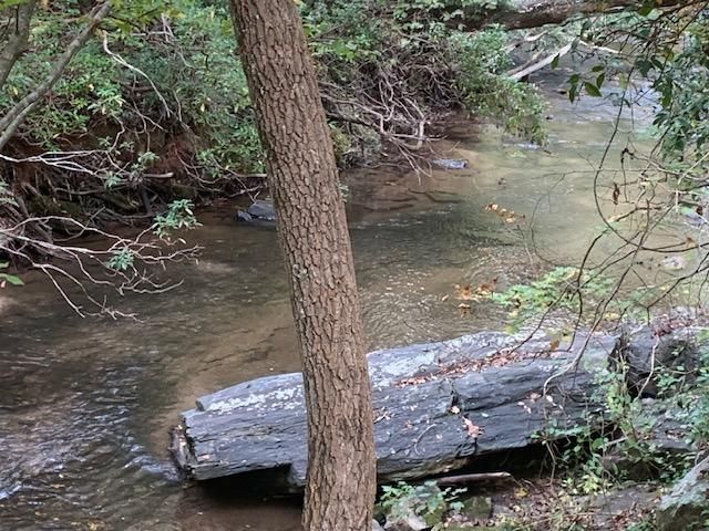 Louden Ridge Road, Alto, GA 30510 | LandWatch