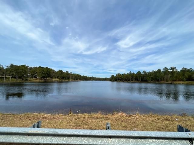 Rustins Lake Road, Butler, GA 31006 | LandWatch