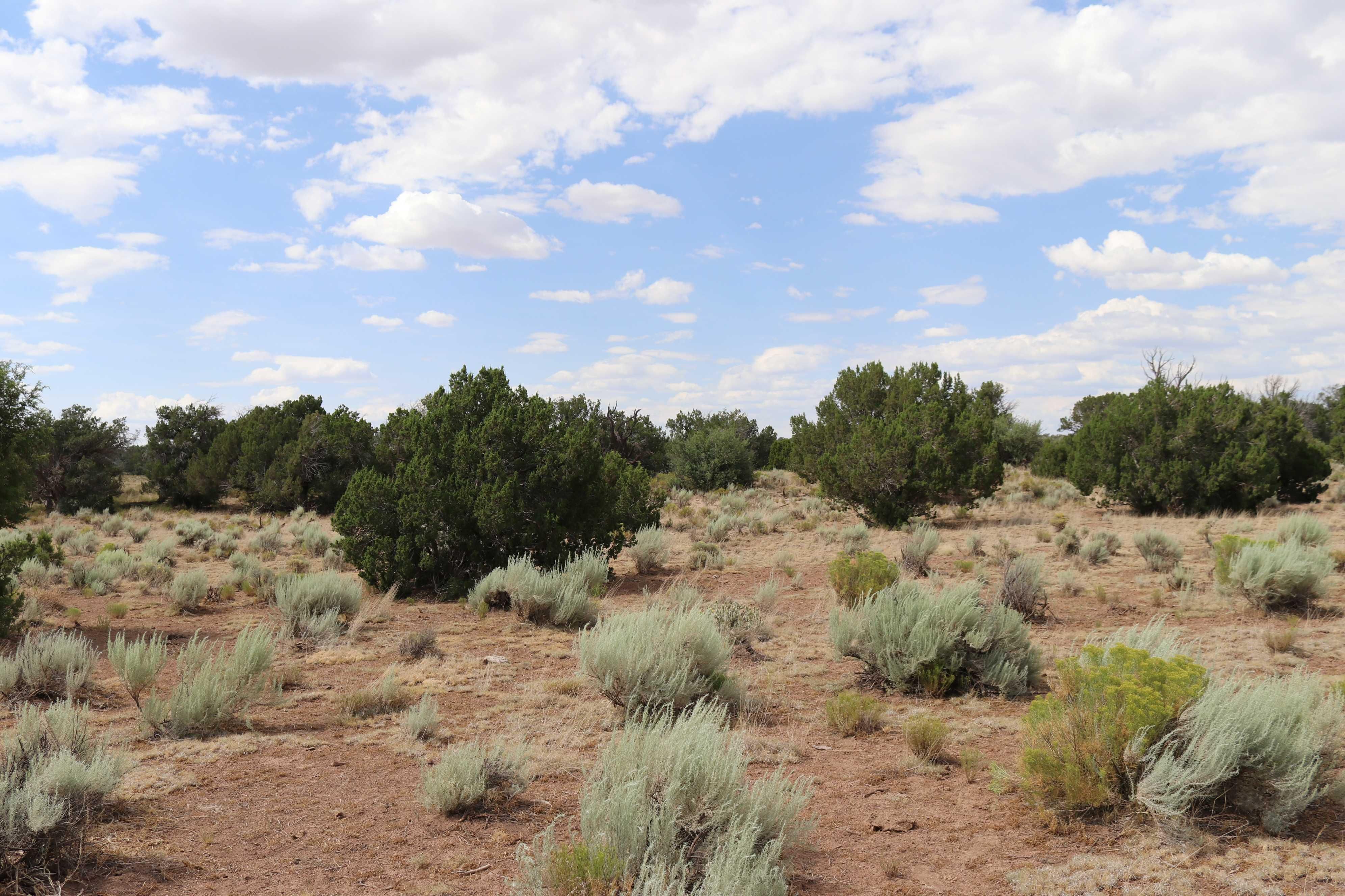 Chambers, Apache County, AZ Recreational Property, Undeveloped Land ...