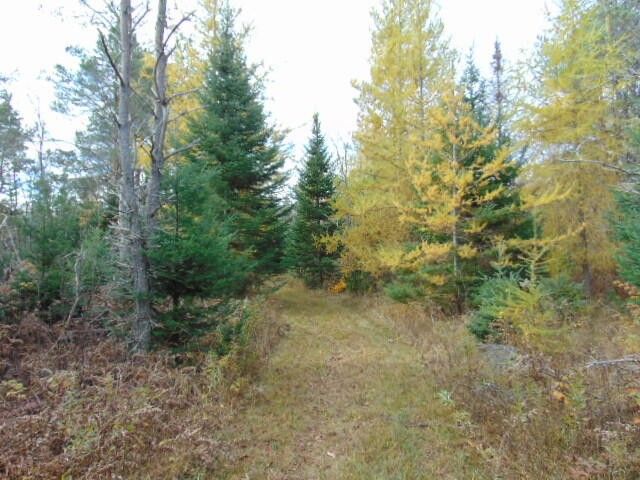 Engadine, Mackinac County, MI Undeveloped Land for sale Property ID ...