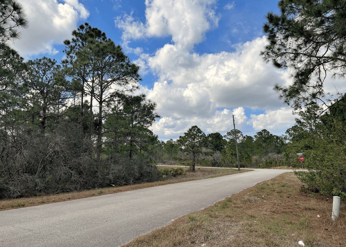 Lake Placid, Highlands County, FL Recreational Property, Undeveloped ...