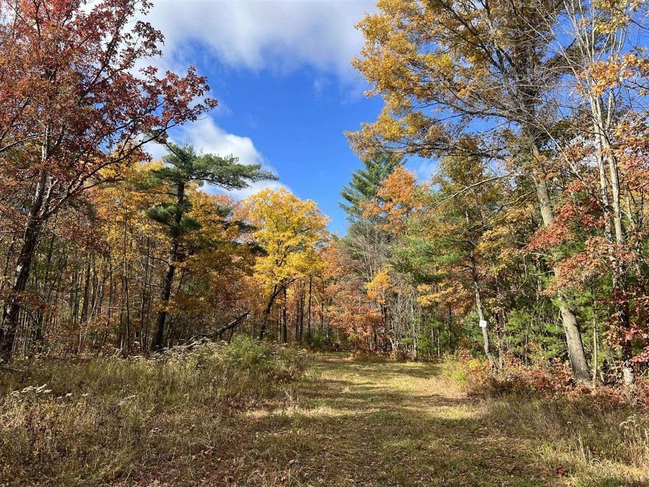 Granton, Clark County, WI Undeveloped Land for sale Property ID ...