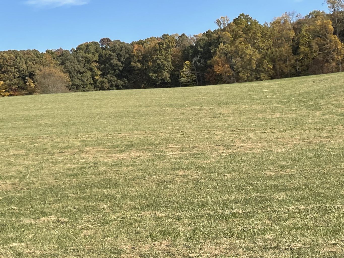 Limestone, Washington County, TN Undeveloped Land, Homesites for sale ...