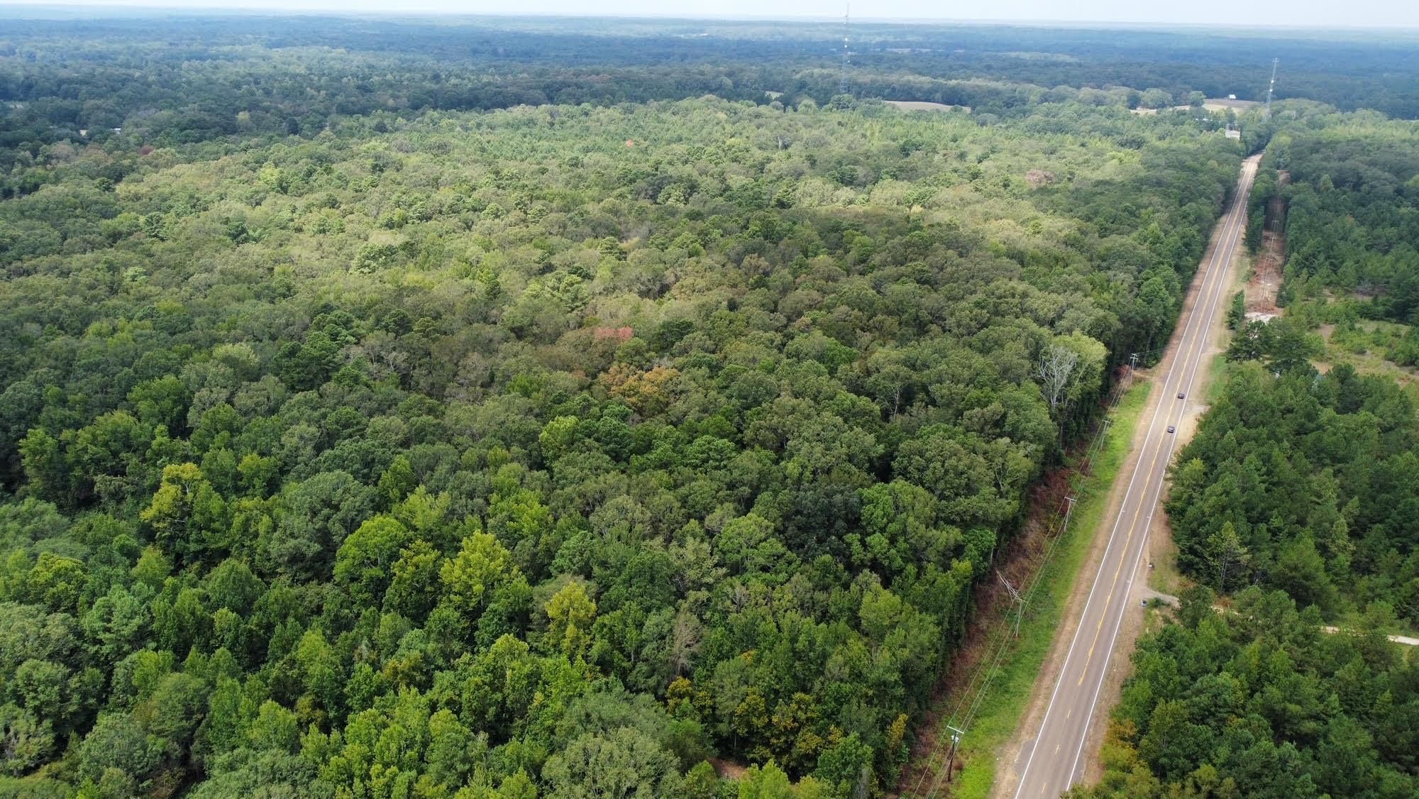 66 Acres, Hinds County, MS, Utica, MS 39175 | LandWatch