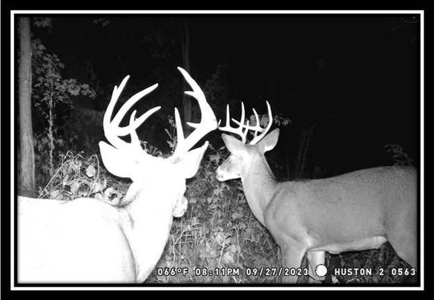 34572 Huston Road, Radcliff, OH 45695 | LandWatch