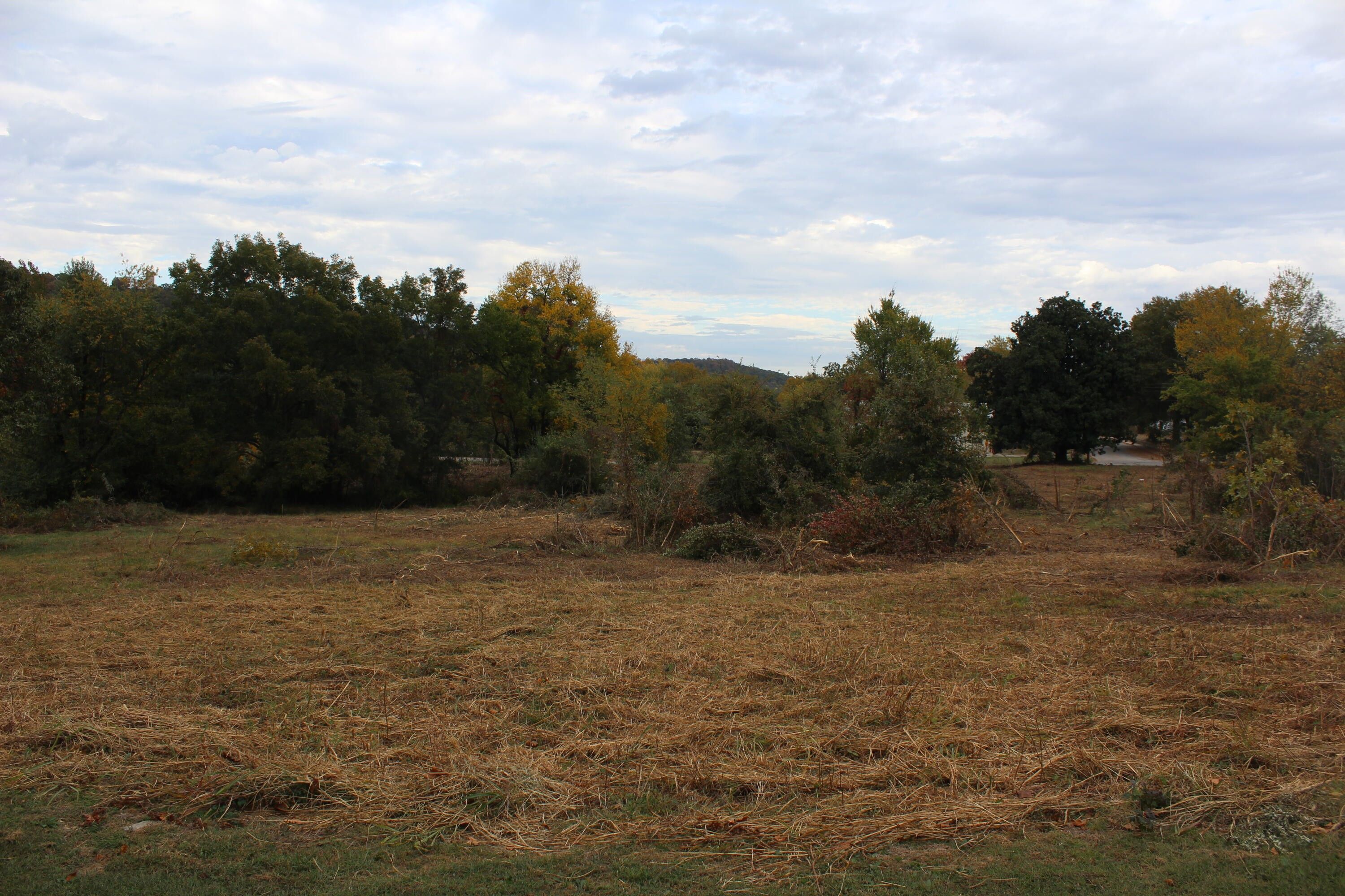 12.99 ac Vacant Land Logan St, Altus, AR 72821 | MLS: 23-1949 | LandWatch