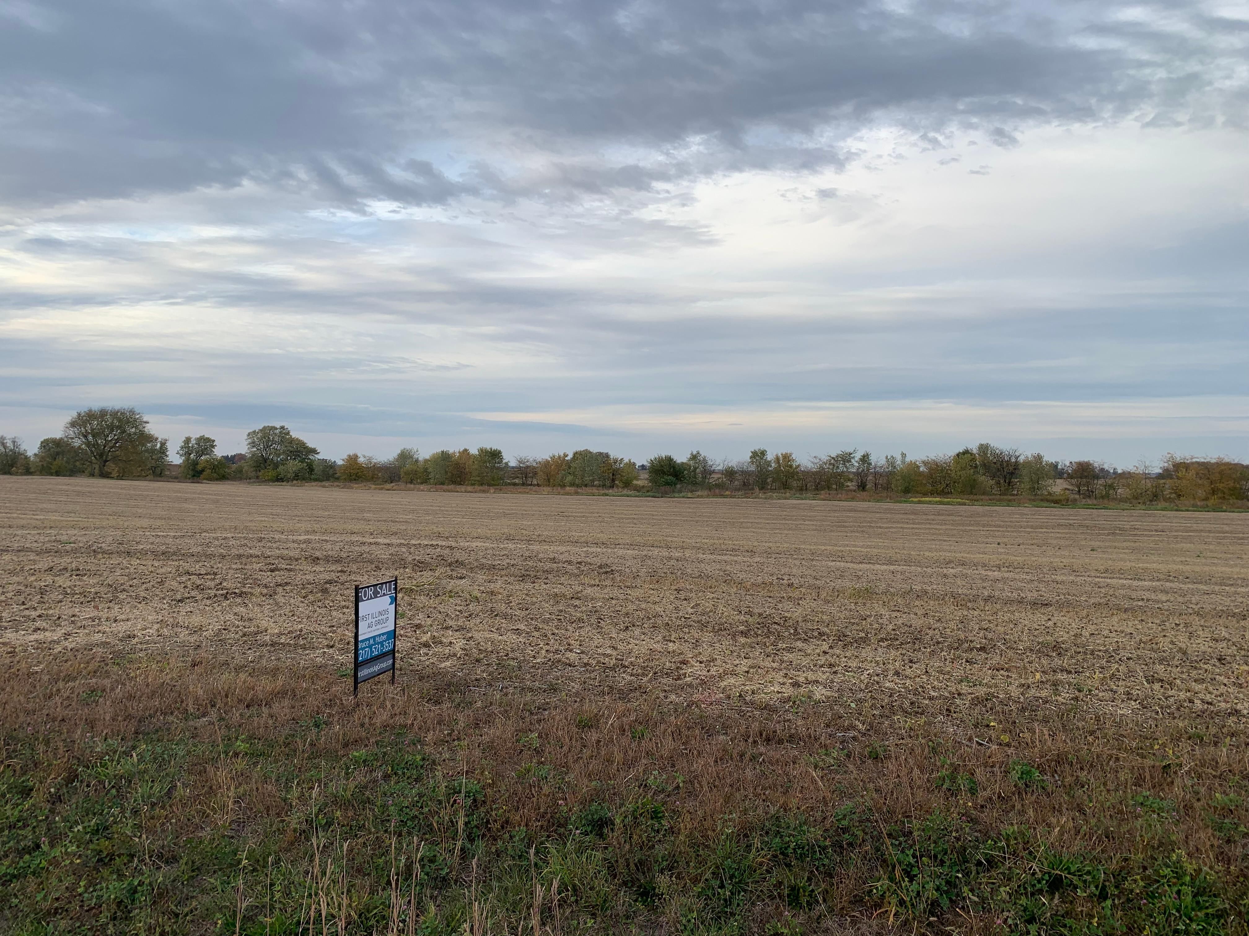 80 acres in Blue Mound, IL, 62513 | LandWatch