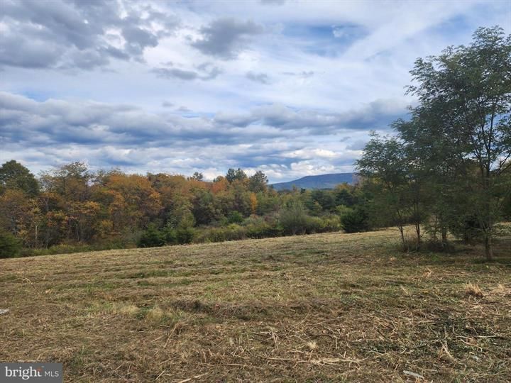 JORDANS WAY, Shanks, WV 26704 | MLS: WVHS2004008 | LandWatch