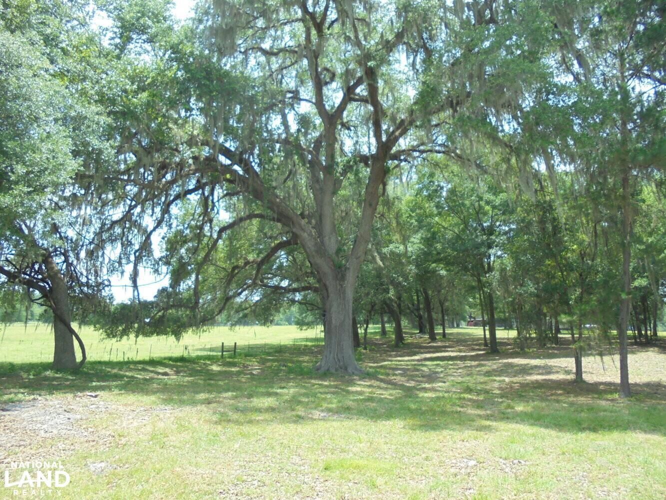 Live Oak, Suwannee County, FL Undeveloped Land, Horse Property for sale ...