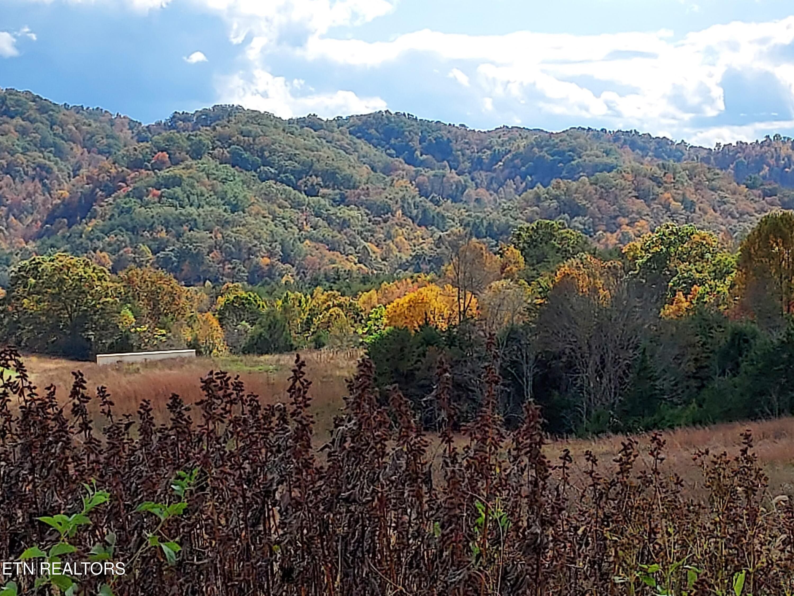 6948 Tazewell Hwy, Sneedville, TN 37869 | MLS: 1244062 | LandWatch