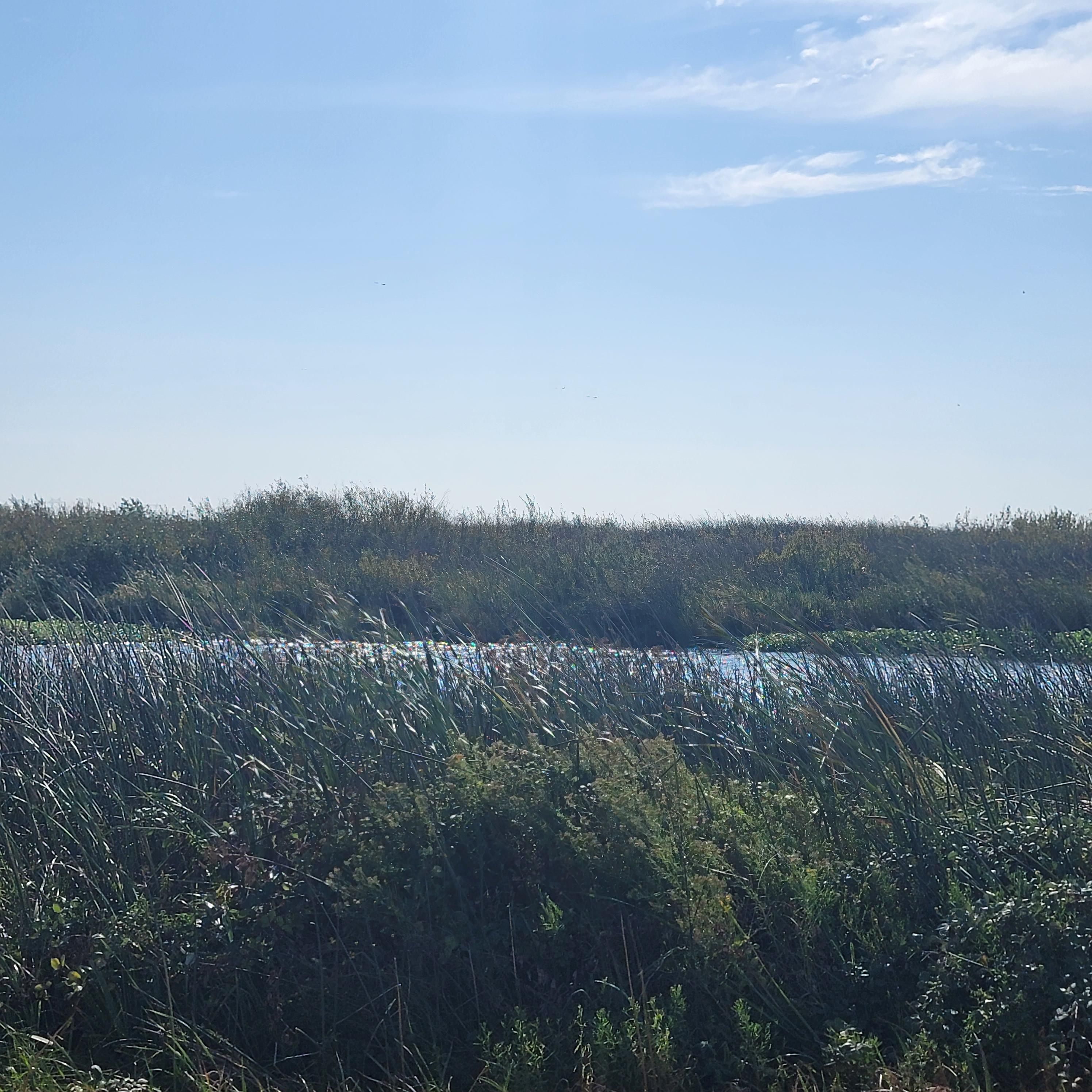 Sherman Island East Levee Road, Rio Vista, CA 94571 | LandWatch