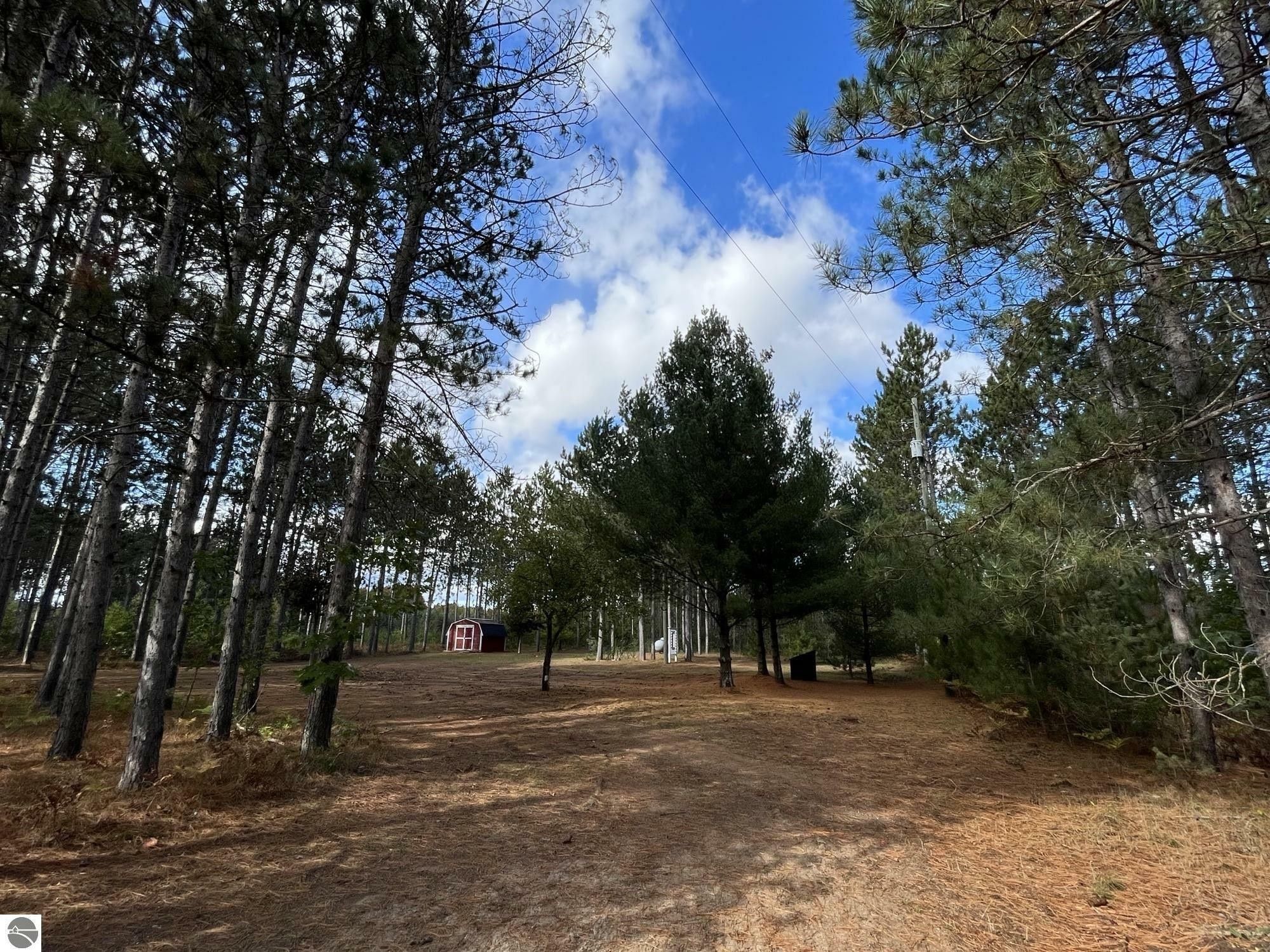 Manton, Wexford County, MI Undeveloped Land for sale Property ID ...