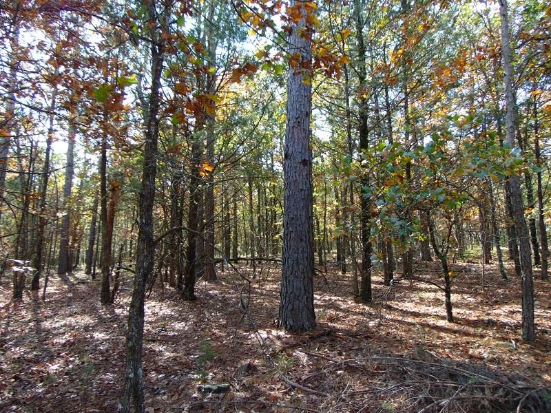 6.31 acres in Red Oak, OK, 74563 | LandWatch