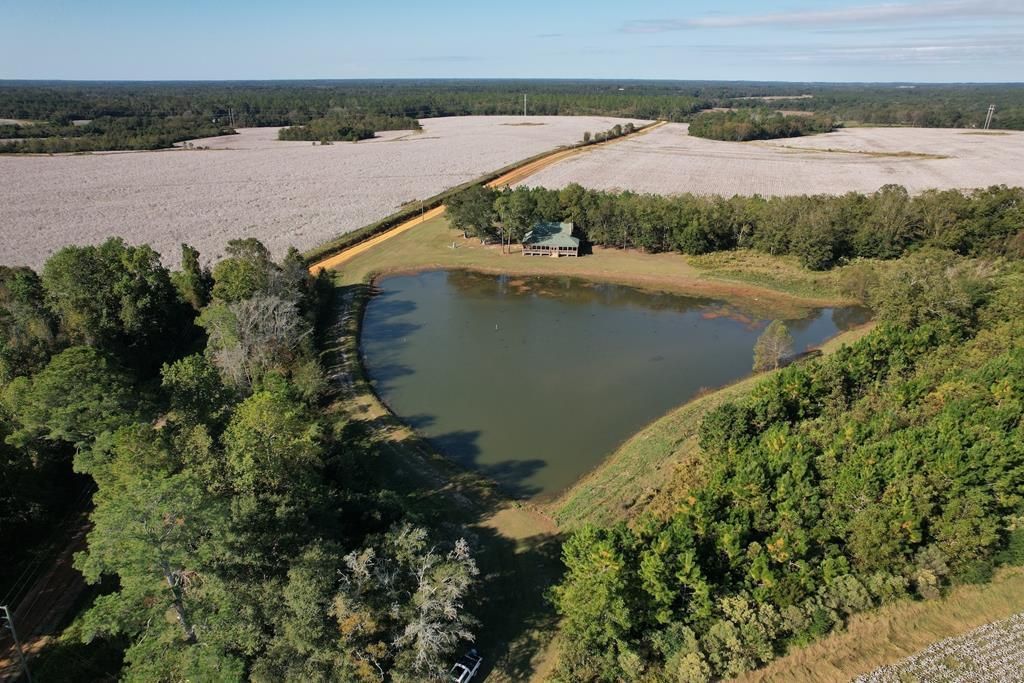 1971 Tisha Cooper Road, Meigs, GA 31765 | LandWatch