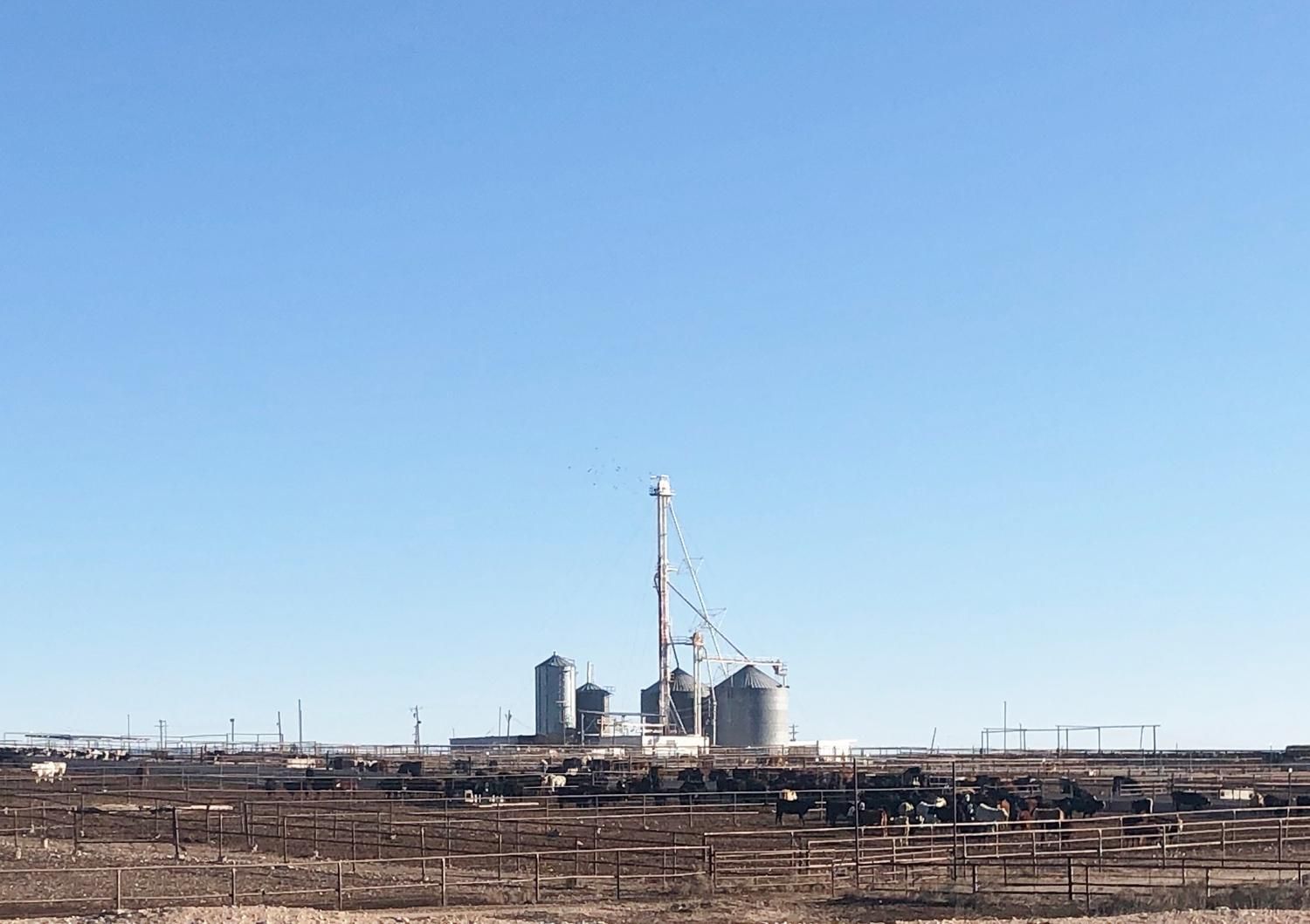 FM 3306, Seminole, TX 79360 | LandWatch