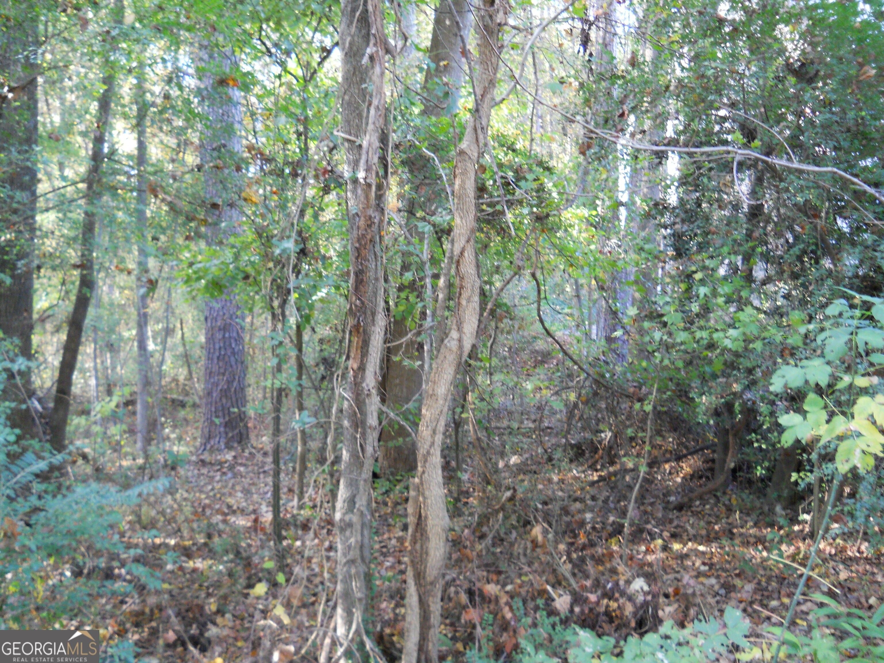 Lithonia, DeKalb County, GA Undeveloped Land, Homesites for sale ...