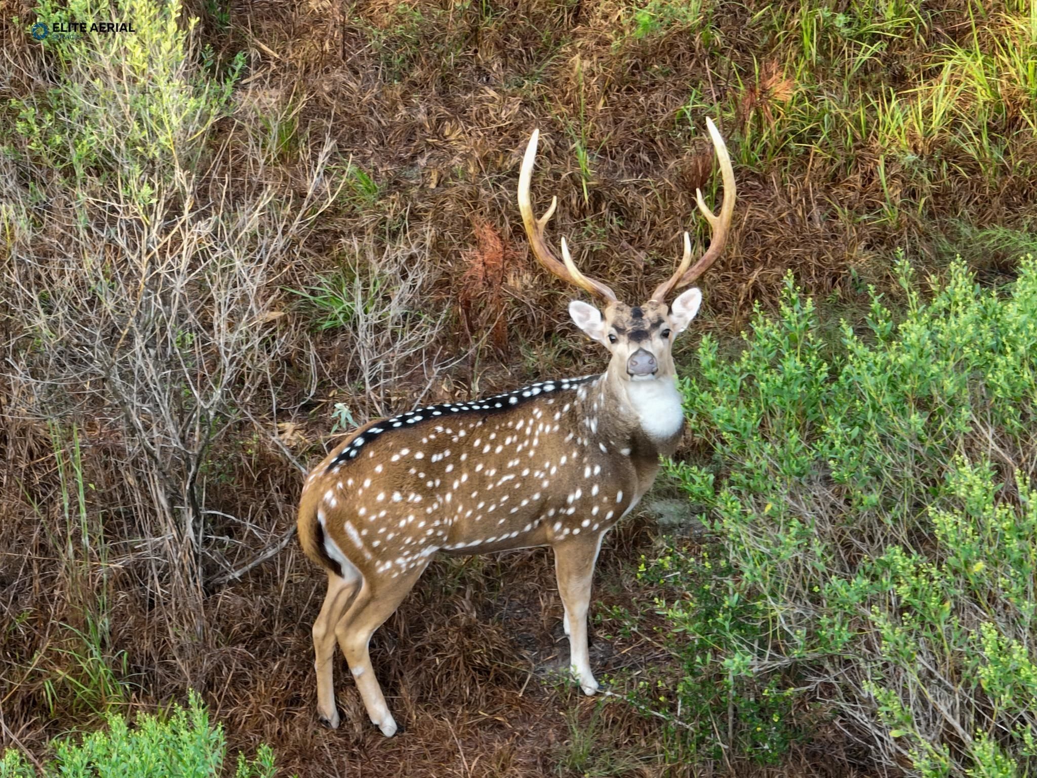 Colmesneil, Tyler County, TX Farms and Ranches, Lakefront Property ...