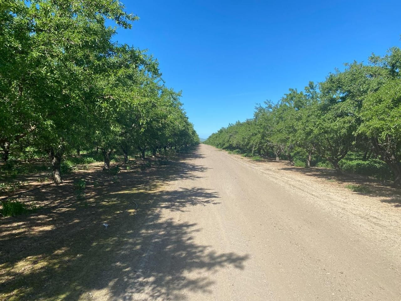 33707 S Koster Rd, Tracy, CA 95304 | LandWatch