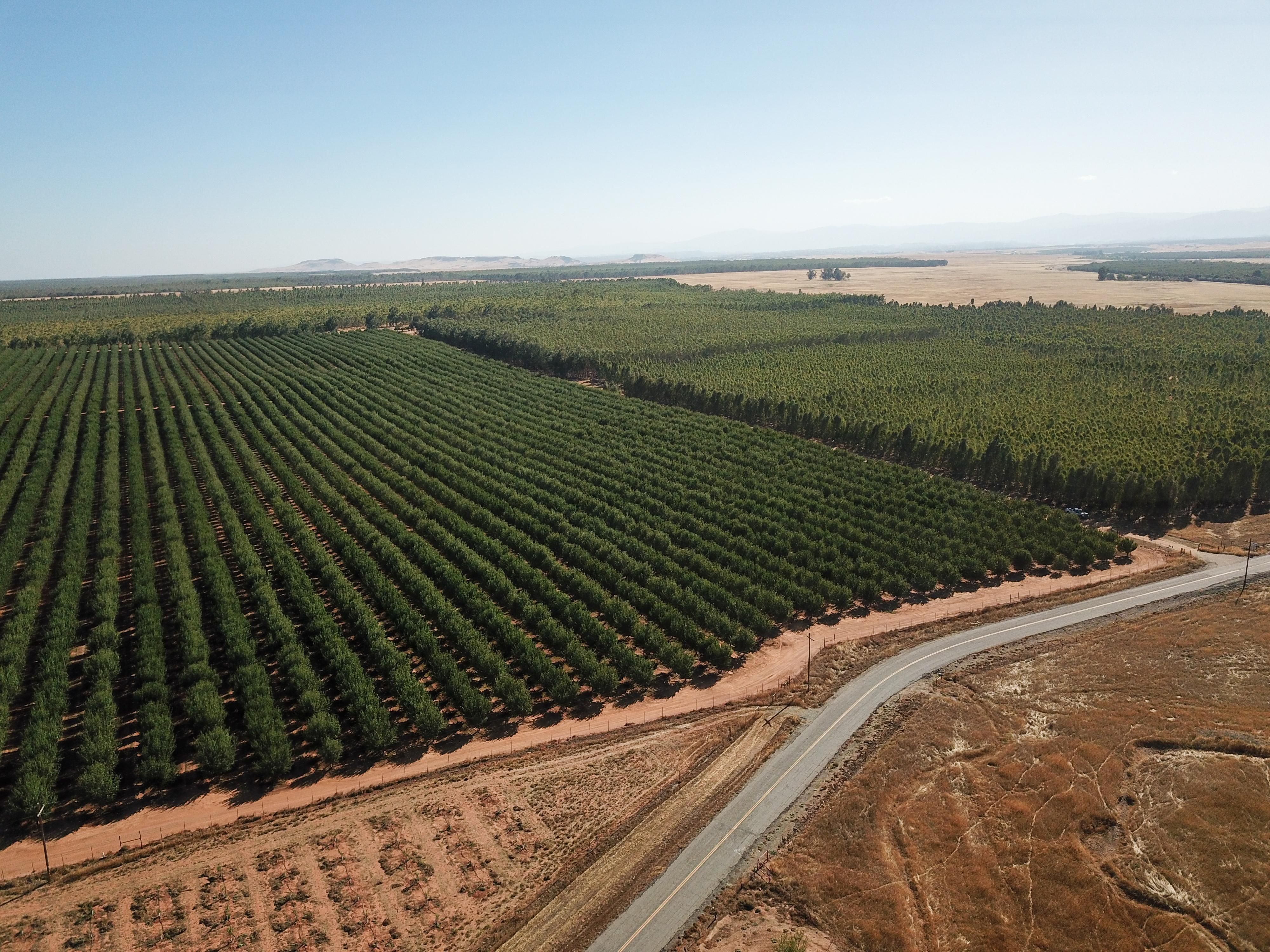 Black Butte Rd, Corning, CA 96021 | MLS: SN23203250 | LandWatch