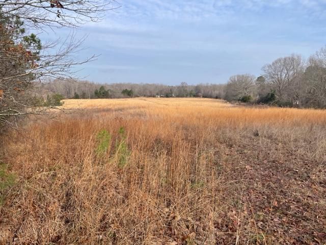 Reaves Rd, Middleton, TN 38052 | MLS: 10155761 | LandWatch