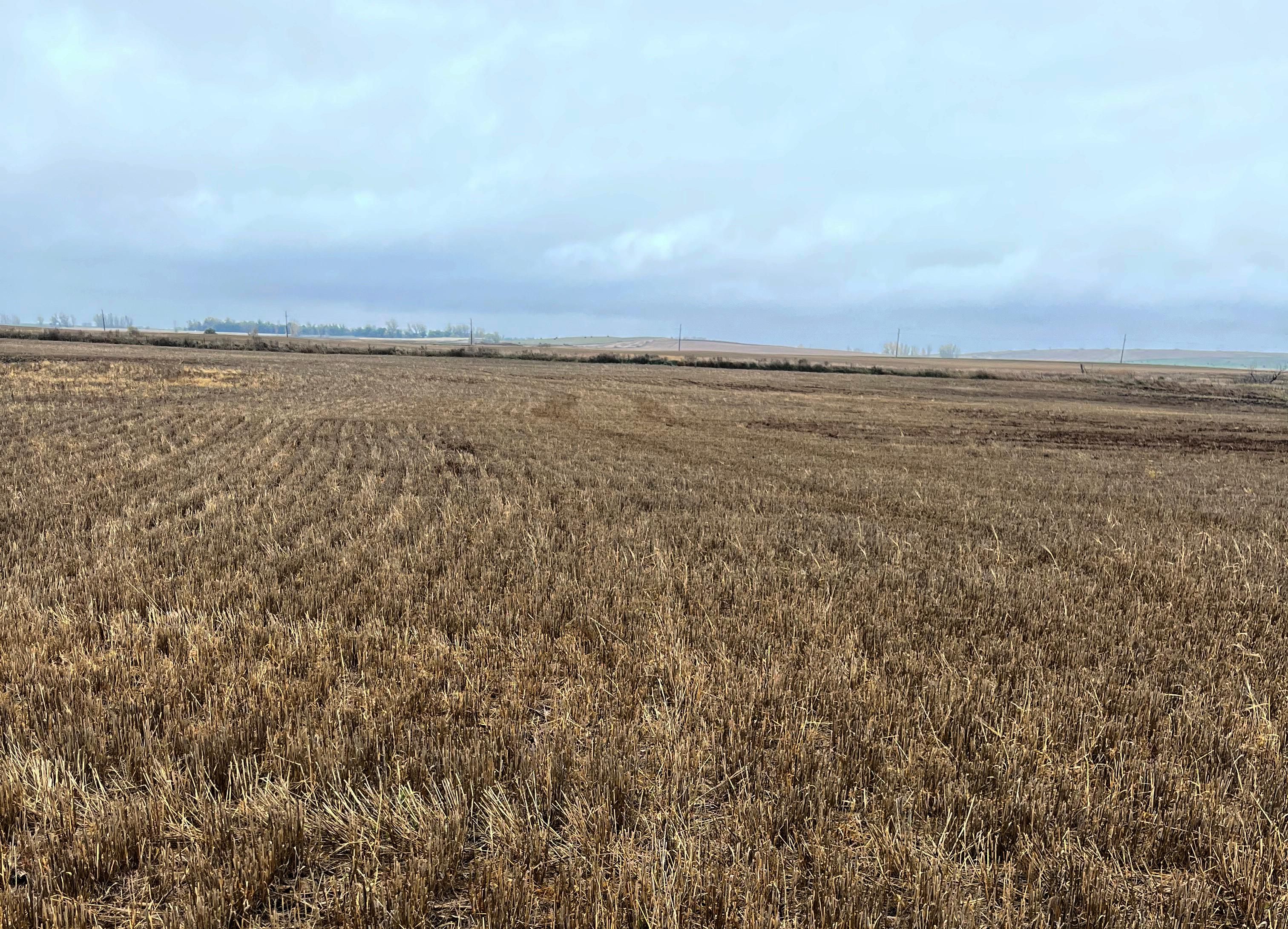 154.65 acres in Martin, ND, 58758 | LandWatch