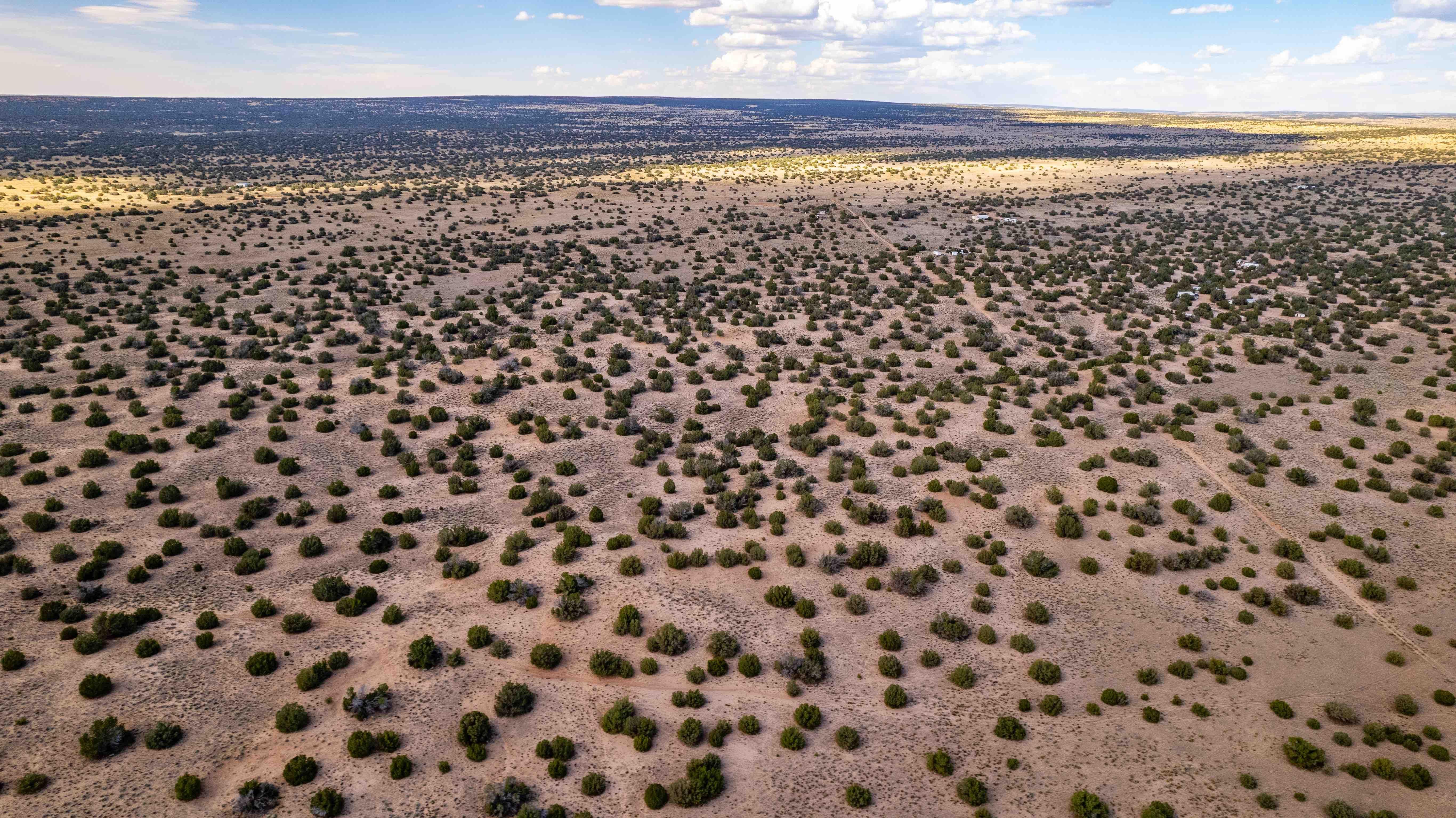 20 acres in Sanders, AZ, 86936 | MLS: 0448-2023-AZAPA | LandWatch