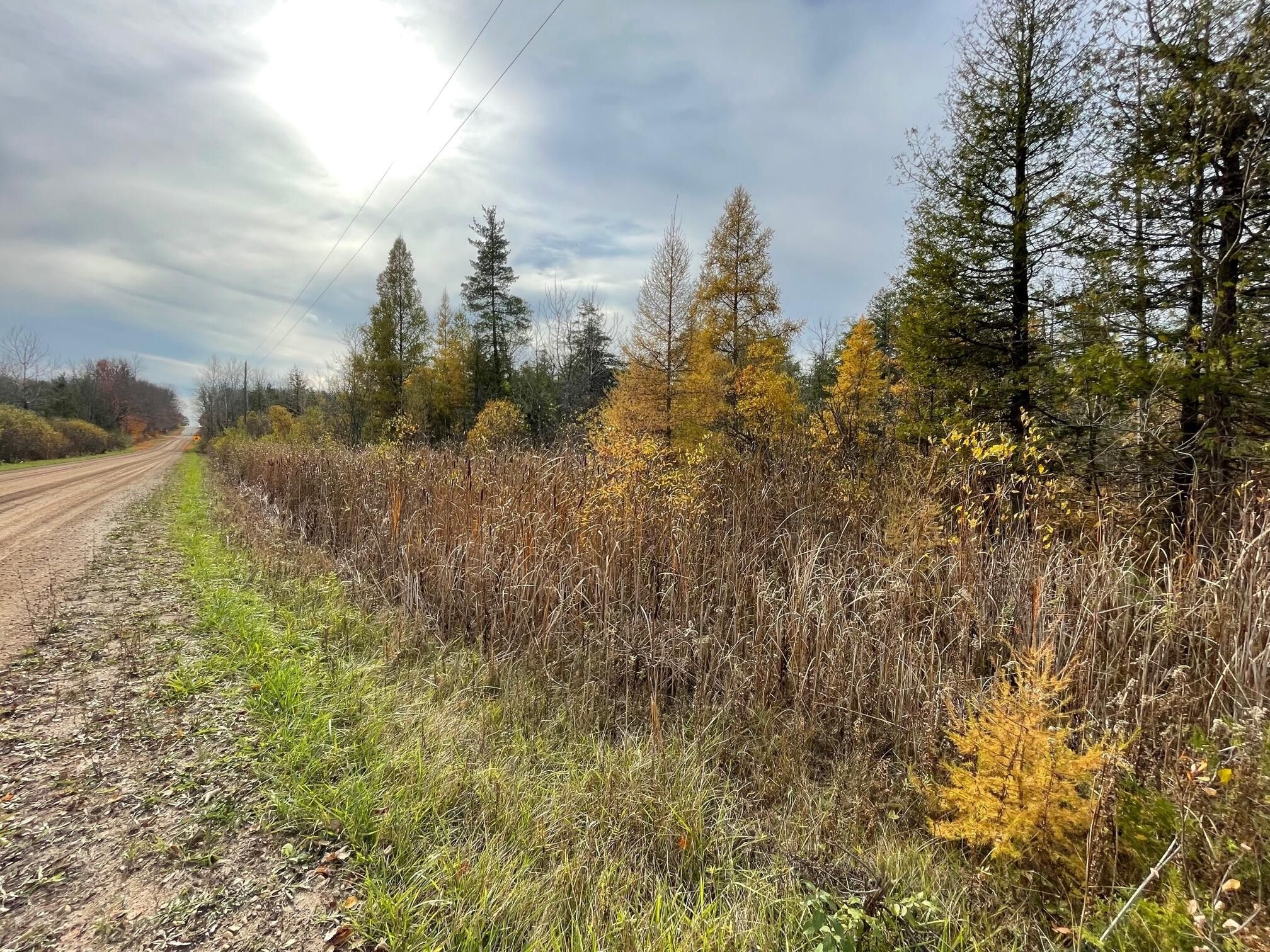 Copemish, Manistee County, MI Undeveloped Land for sale Property ID ...