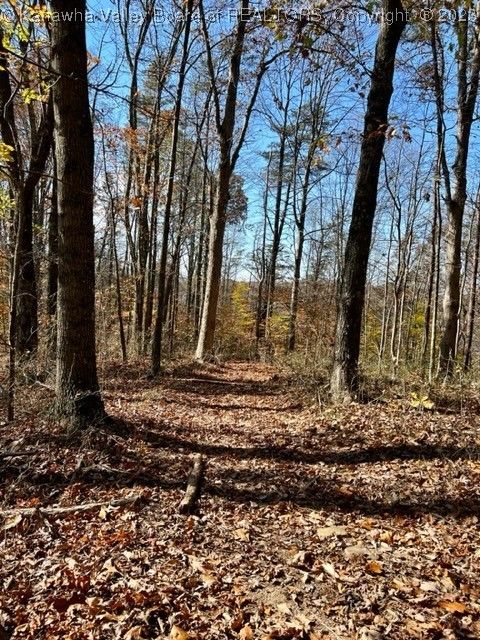 Sissonville, Kanawha County, WV Undeveloped Land for sale Property ID ...