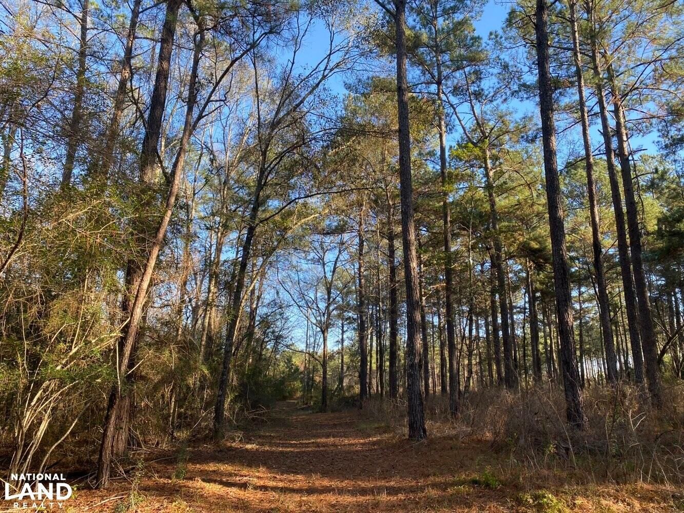00 N. Slade Road, Sumrall, MS 39482 | LandWatch
