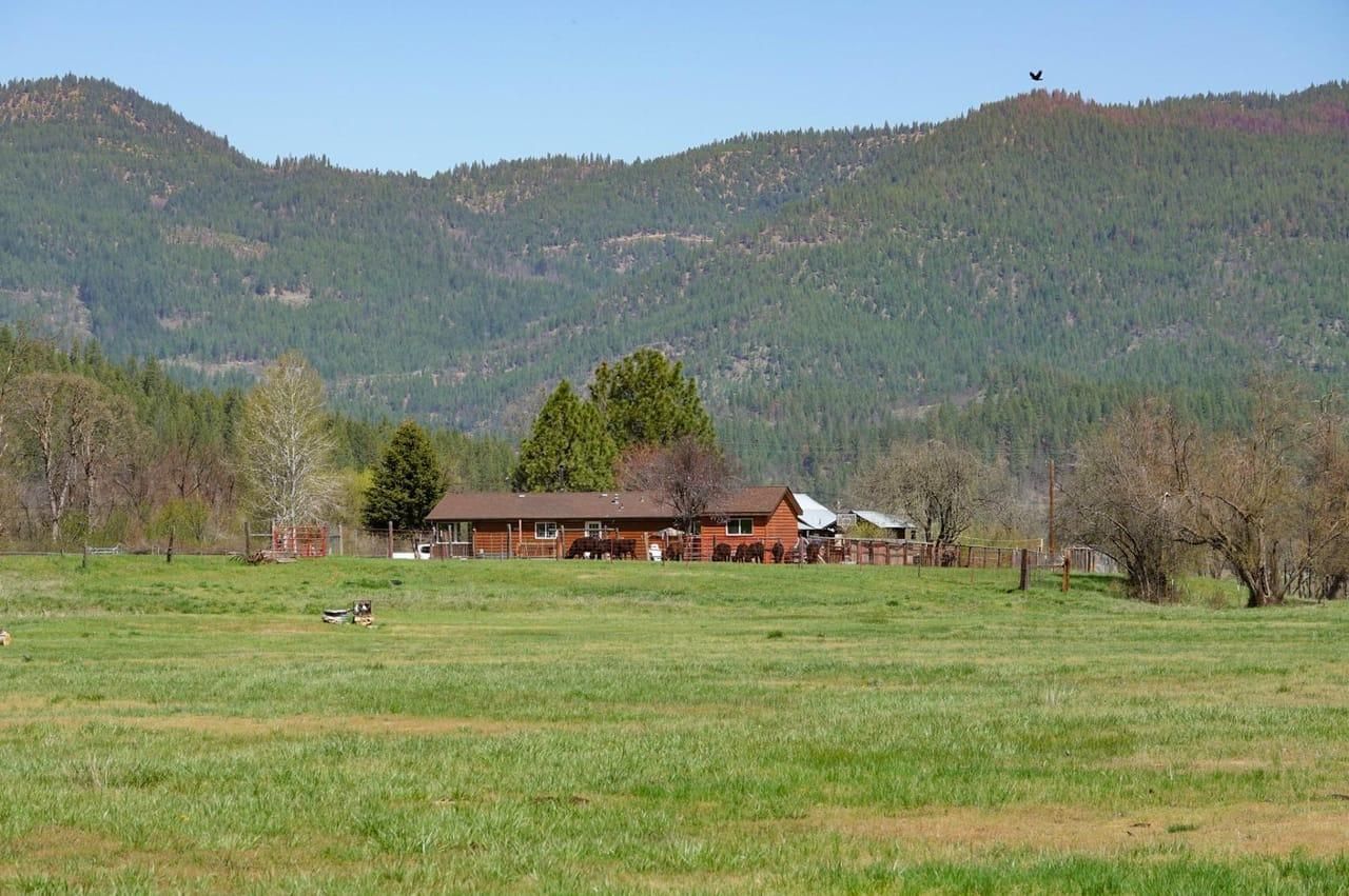 15216 Quartz Valley Drive, Fort Jones, CA 96032 | MLS: 20230394 | LandWatch